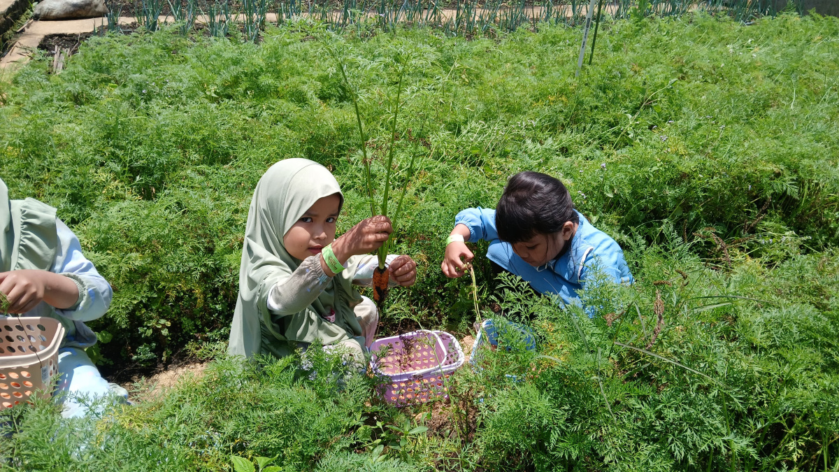 Tempat Wisata Jendela Alam Bandung: Wahana Edukasi yang Semakin Lengkap ...